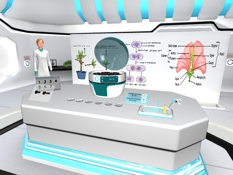 VRLab Academy | Sexual and Asexual Reproduction