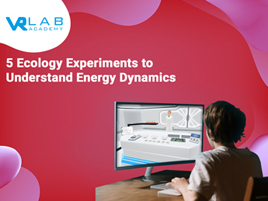 VRLab Academy | Blog | 5 Ecology Experiments to Understand Energy Dynamics